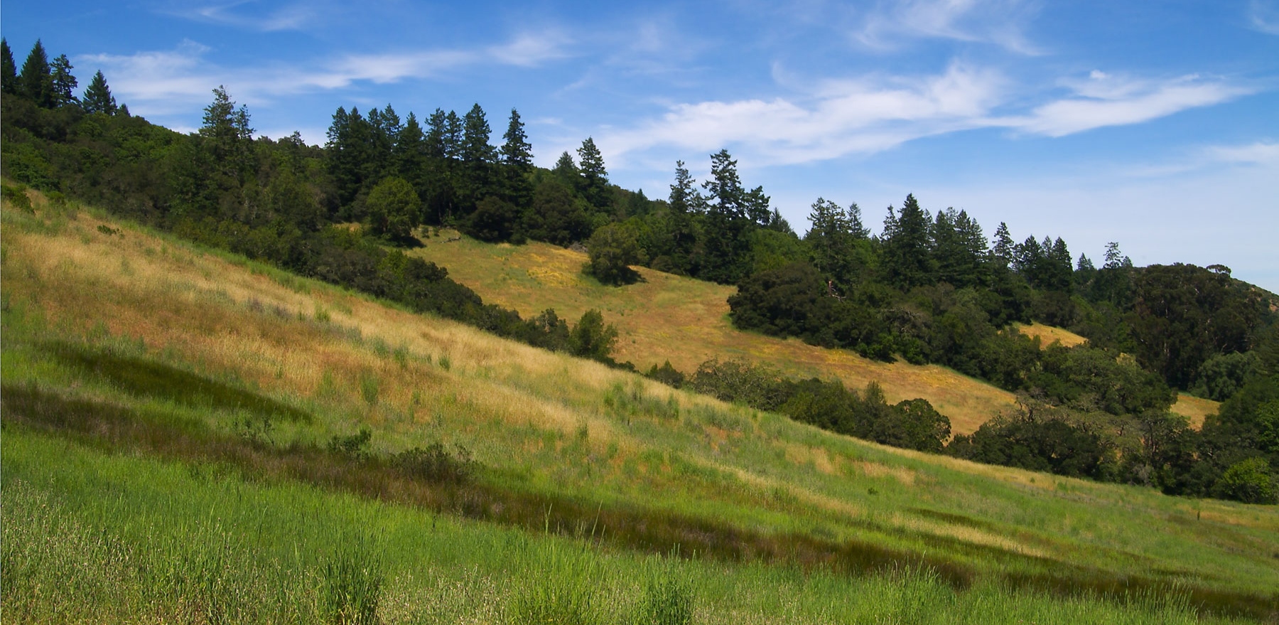 Sonoma County Vegetation Mapping And Lidar Program Sonoma County