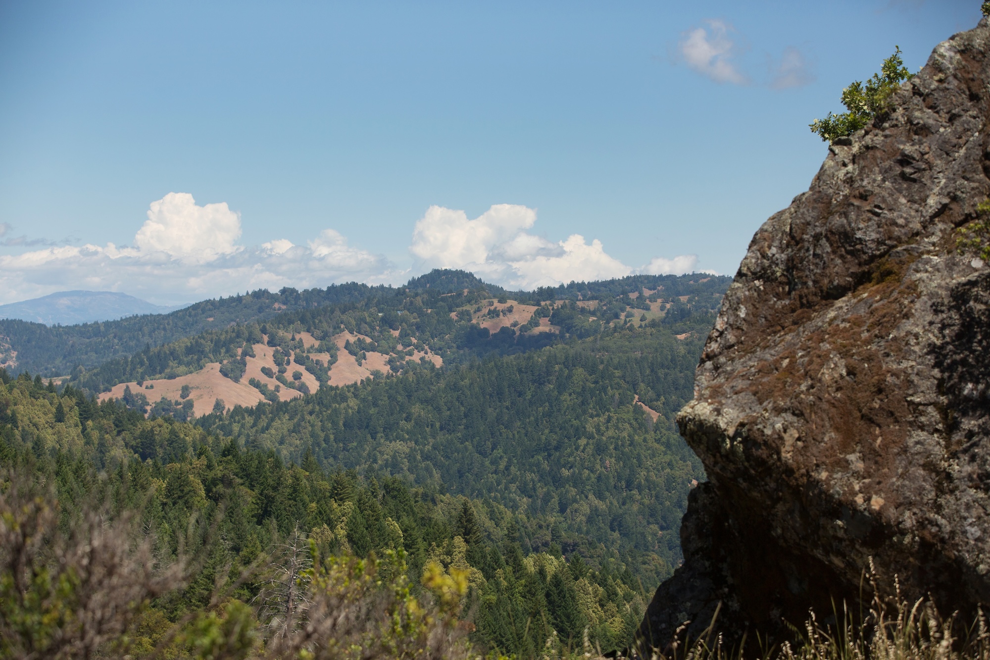 Save the Redwoods League and partners conserve 1,500+ Acres of Redwood ...