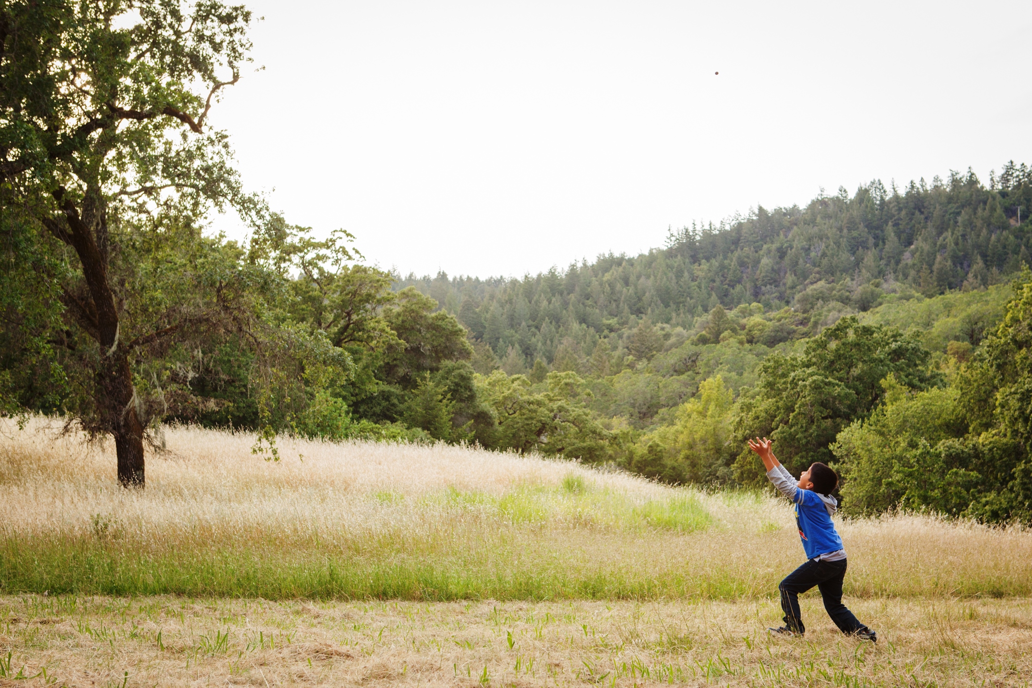 Press Release: Ag + Open Space Announces Seven New Community Open Space ...