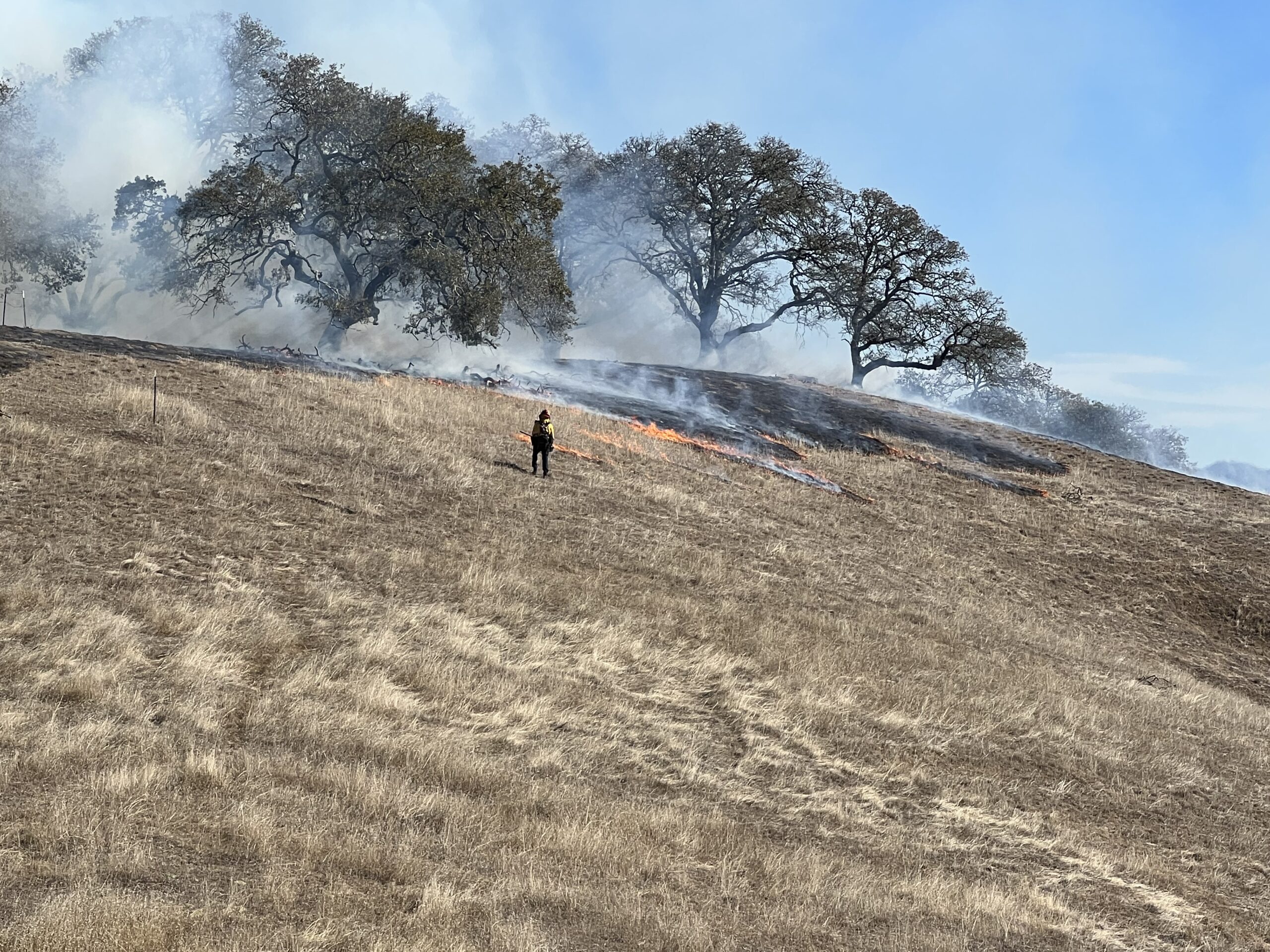 Vegetation Management Grant Program Sonoma County Agricultural