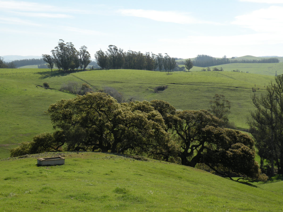 District secures $1,750,000 for agricultural protection! - Sonoma ...