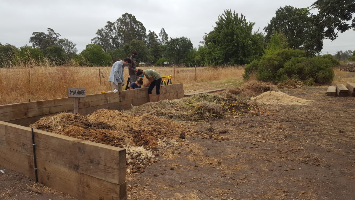 Transformative youth program continues to thrive during pandemic ...