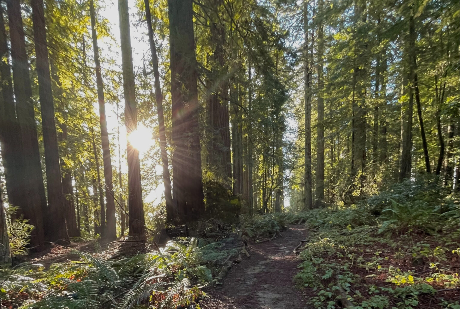 Sonoma County Agricultural Preservation & Open Space District
